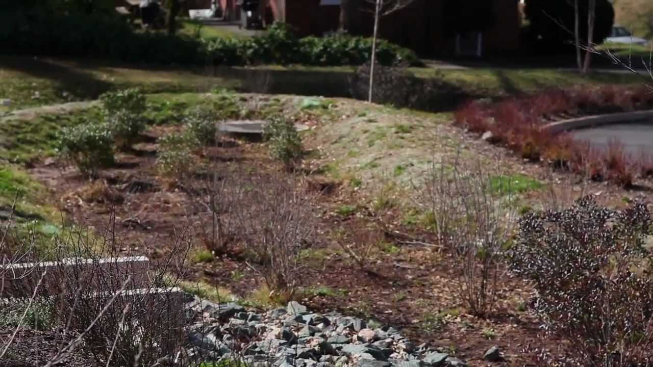 LID Stormwater Construction Practices - YouTube