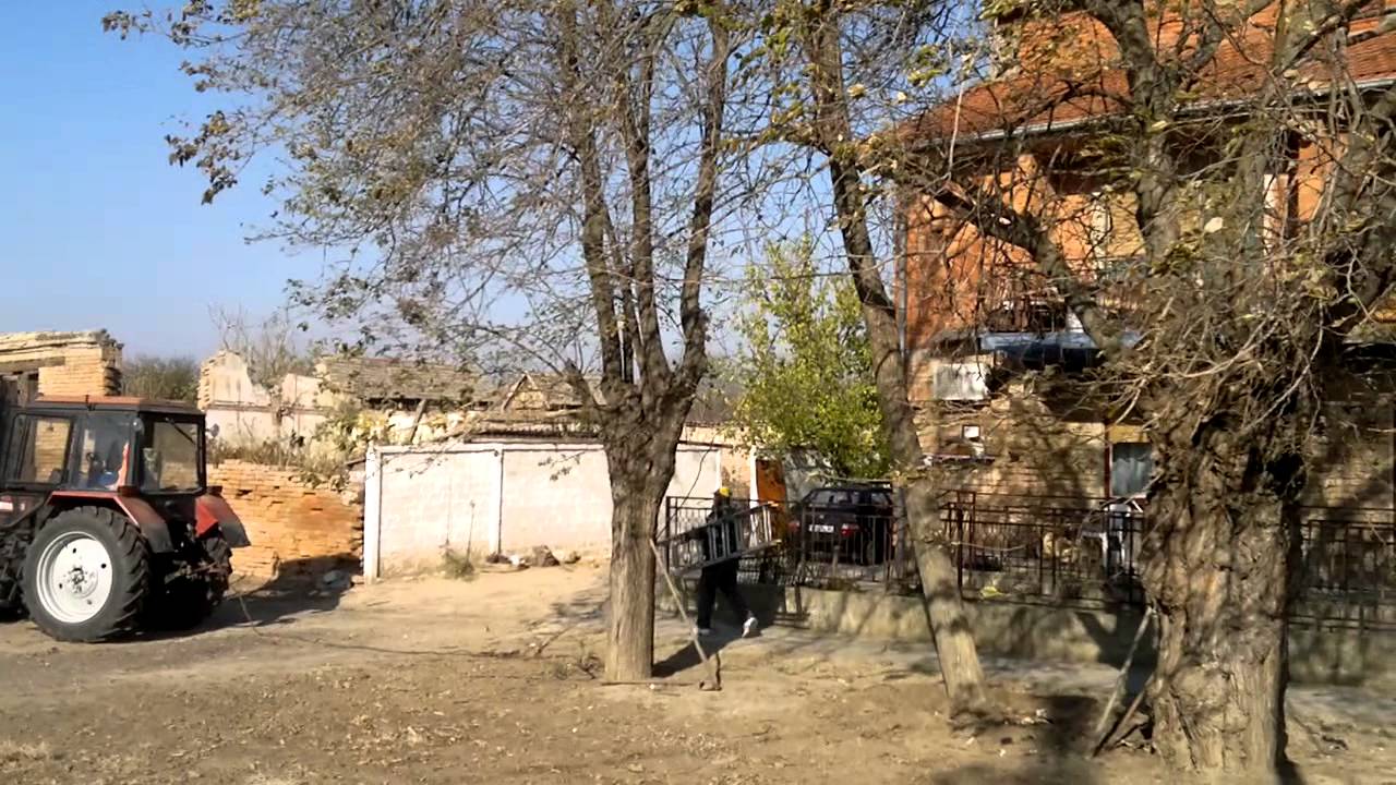 Izbiste By Bozidar - Obaranje Drveta se Vrsi na sledeci nacin ...