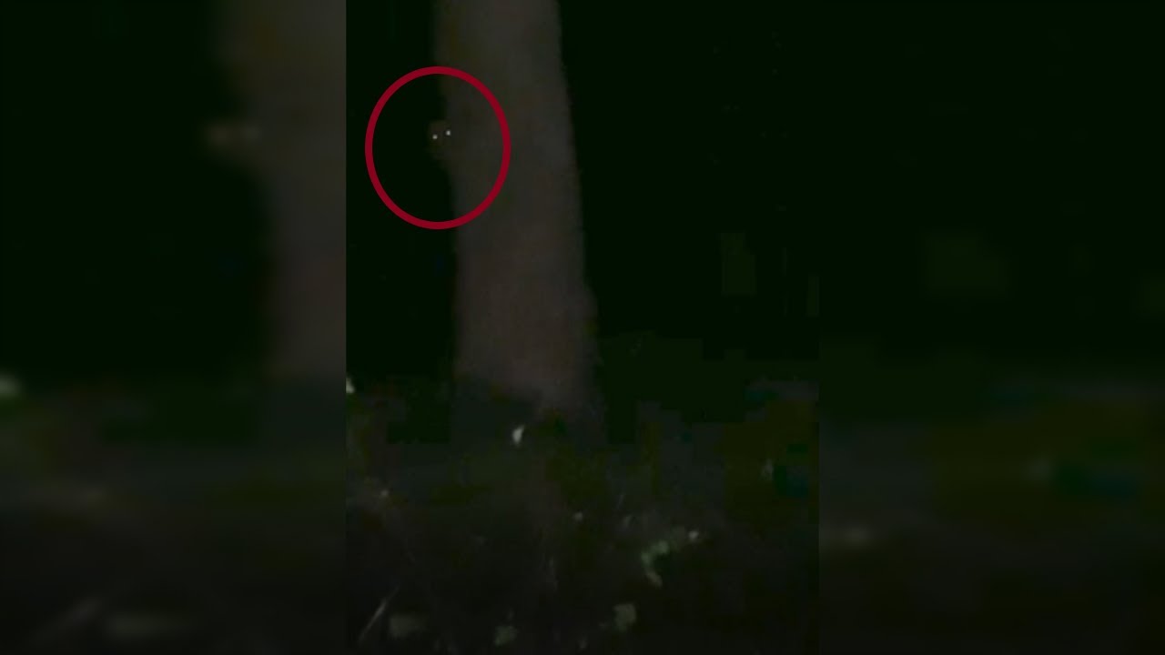 7 Times Skinwalkers & Crawlers Were Caught on Camera - YouTube