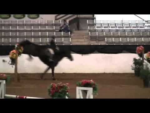 Video of TWU WUV ridden by CARLI KIRSCH from ShowNet! - YouTube