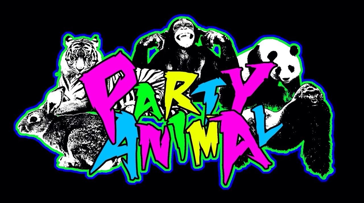 PARTY ANIMAL - ONE CHANCE?(Official Music Video) - YouTube