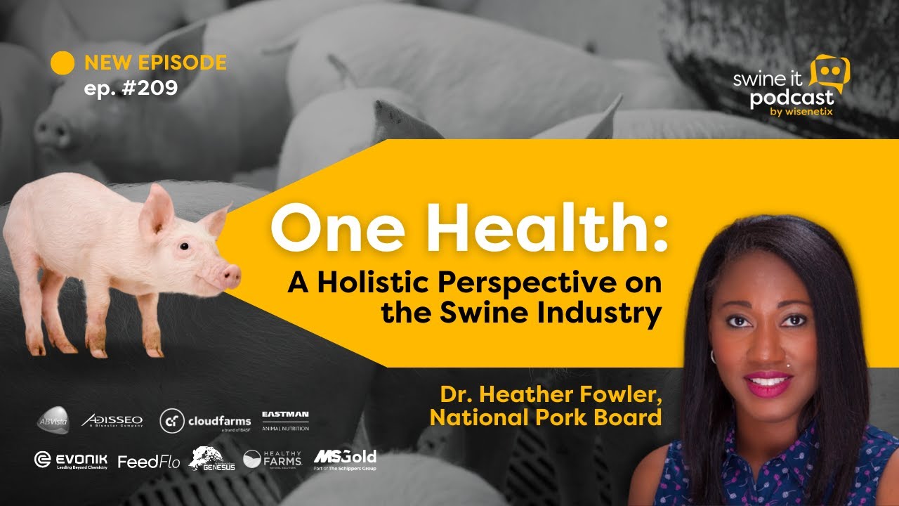 Dr. Heather Fowler: Swine One Health | Ep. 209 - YouTube