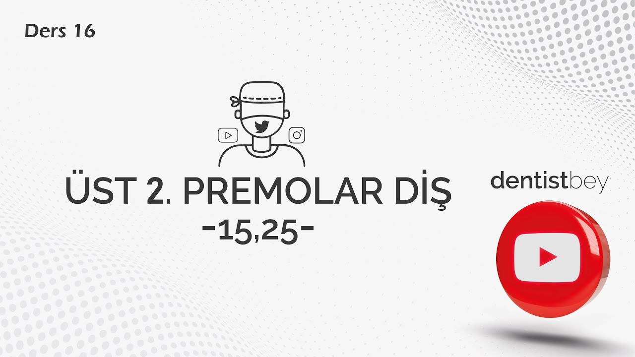 DERS-16 ÜST 2.PREMOLAR DİŞLERİN ÖZELLİKLERİ (15-25) - YouTube