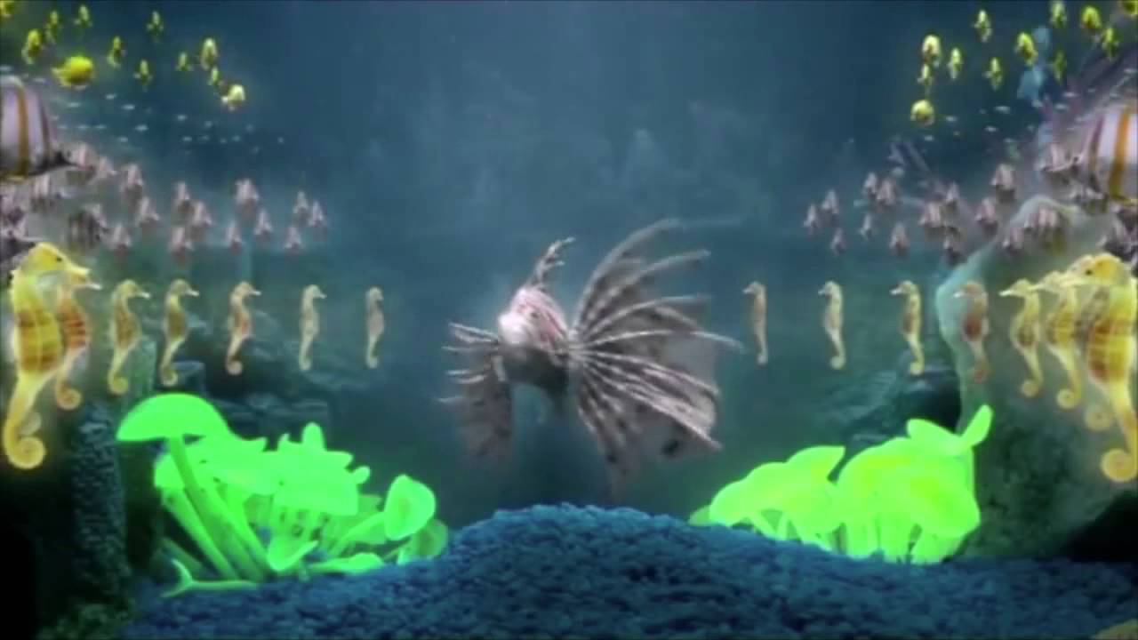 The Chemical Brothers - The salmon dance (crookers remix) - YouTube