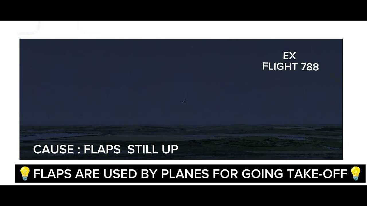 FLIGHT REVIEW: EX FLIGHT 788 - YouTube