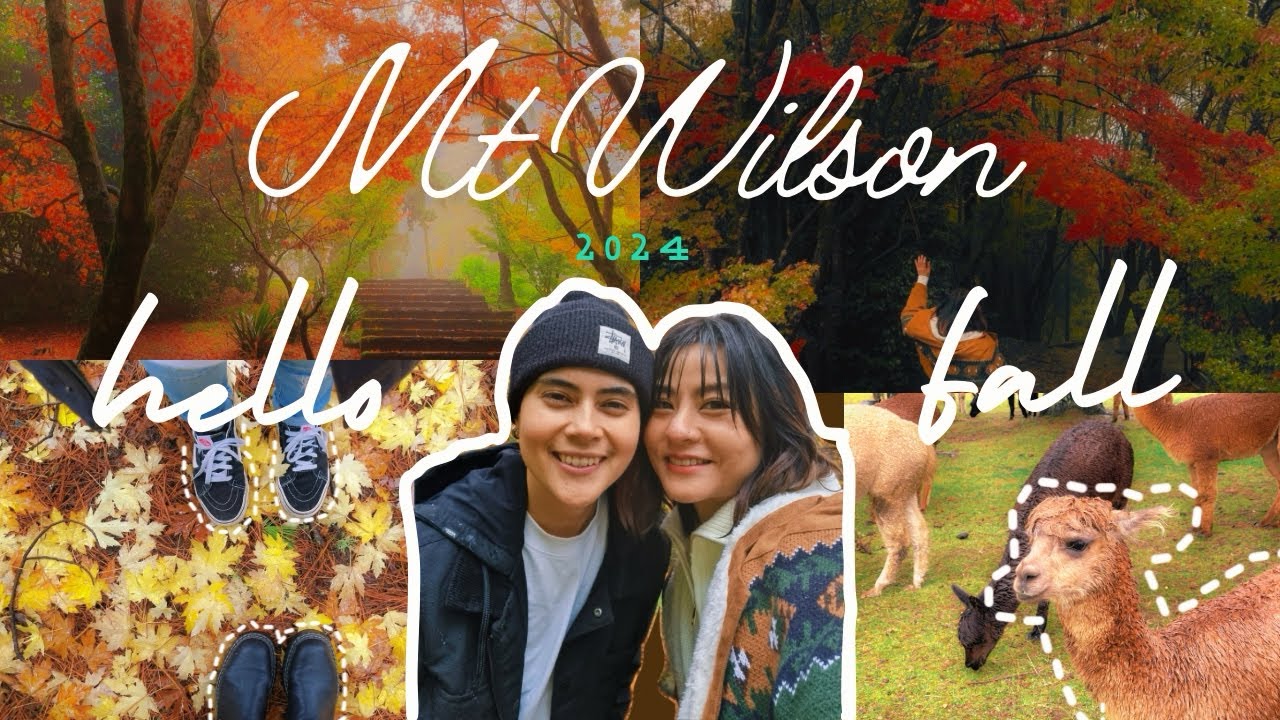 Hello fall at Mt Wilson,NSW - YouTube