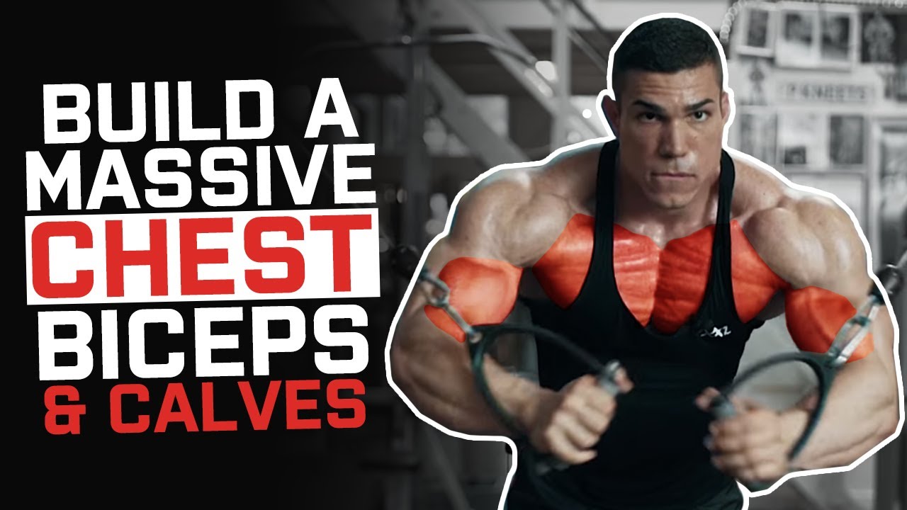 Chest, Biceps & Calves Workout With IFBB Elite Pro Lorenzo Leeuwe ...