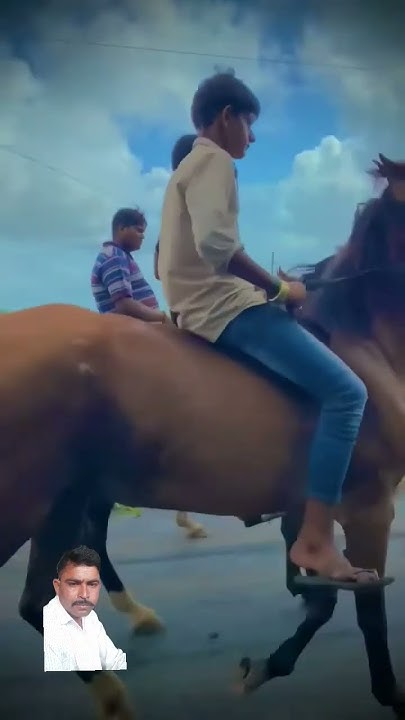 Horse love //Horse riding #horse #horselover #love - YouTube