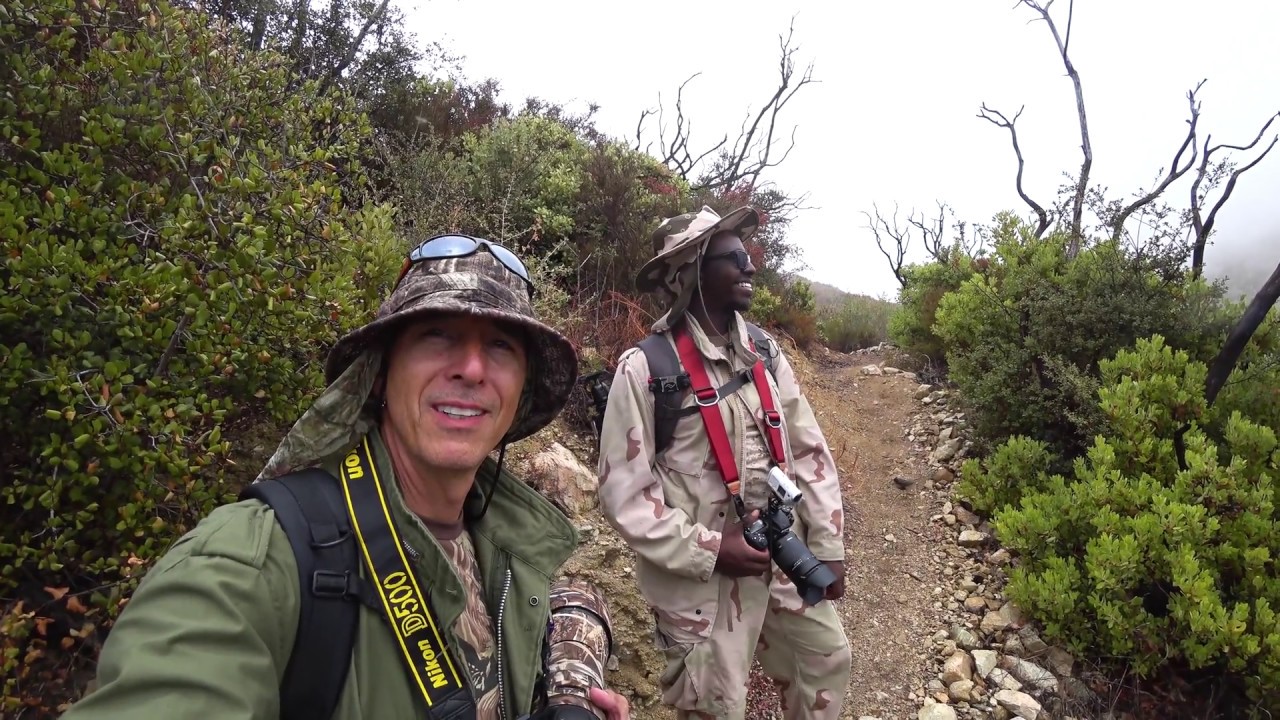 Shooting on a misty mountain morning - Nikon D500 D800 GoPro Hero 7 ...
