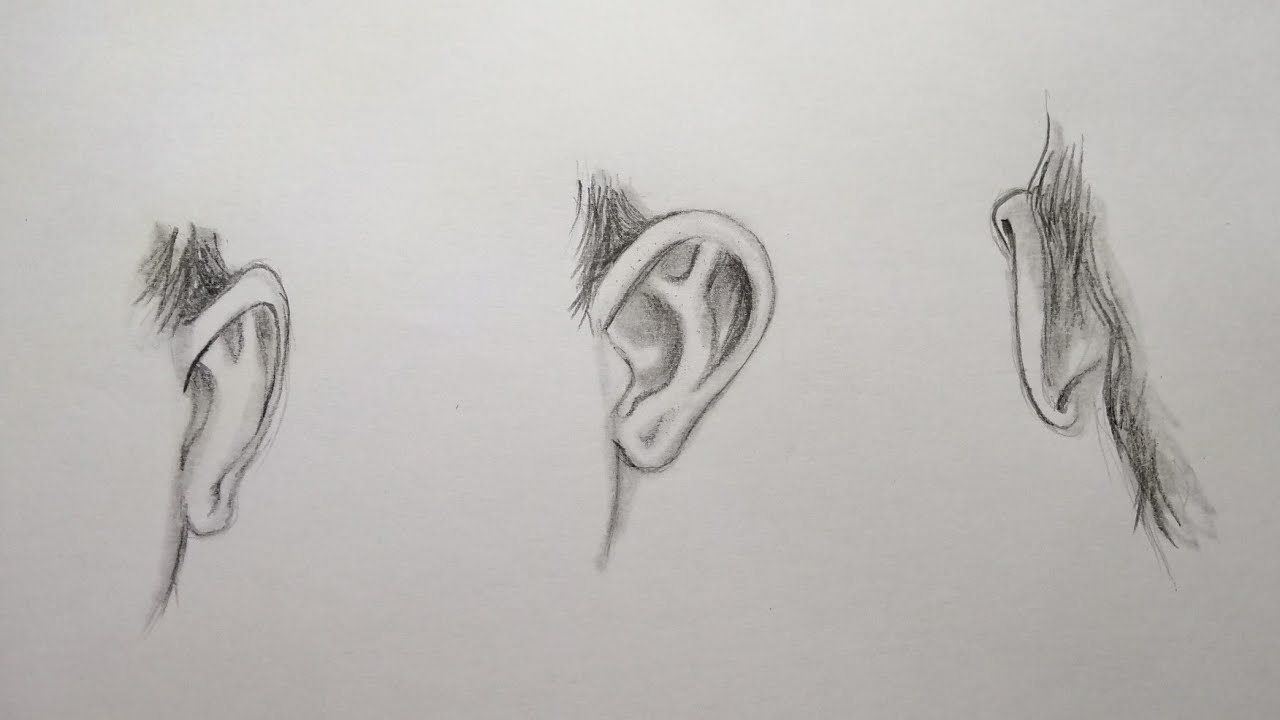 How to draw ears | easy drawing - YouTube