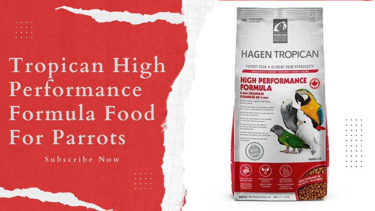 Tropican High Performance Formula Food for Parrots - YouTube
