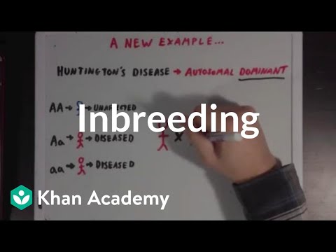 Inbreeding | Biomolecules | MCAT | Khan Academy
