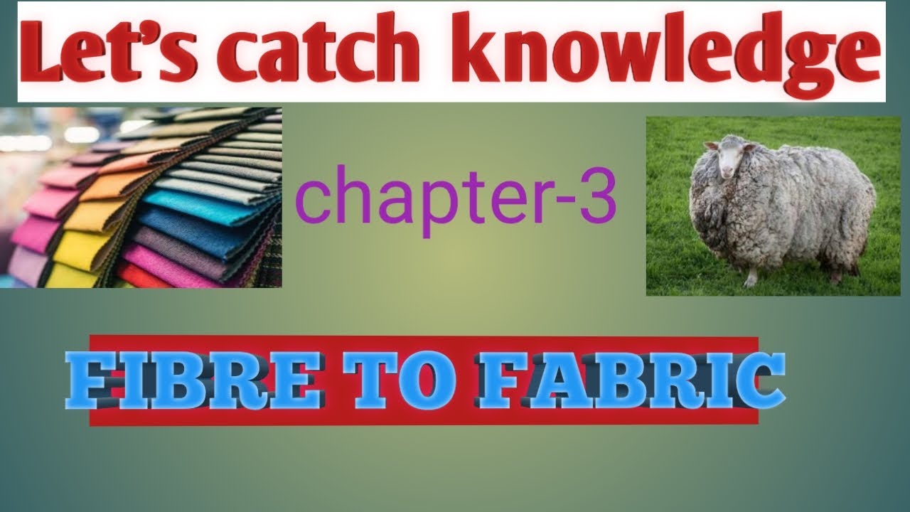 6 class chapter 3, fibre to fabric - YouTube