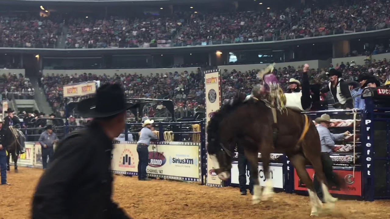 CowboySpot American 2018 - YouTube