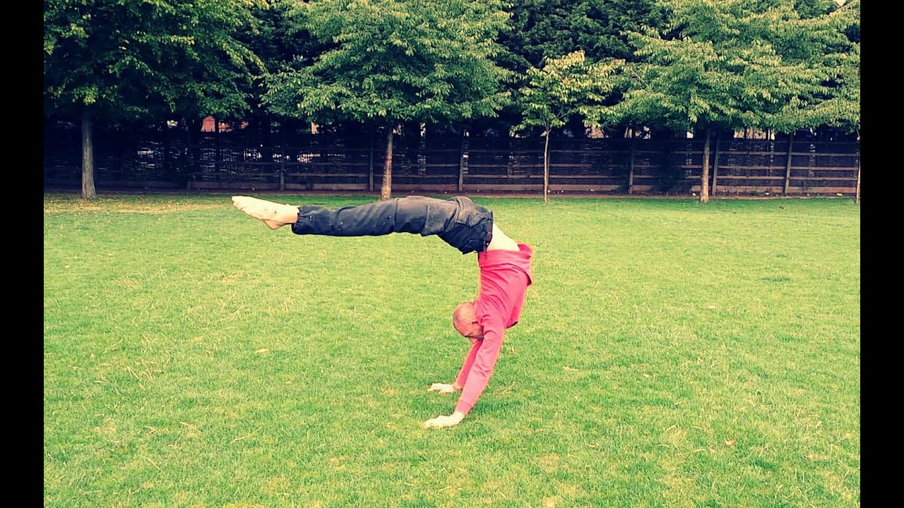 Is there such a thing as reverse planche? Has anyone ever performed one ...