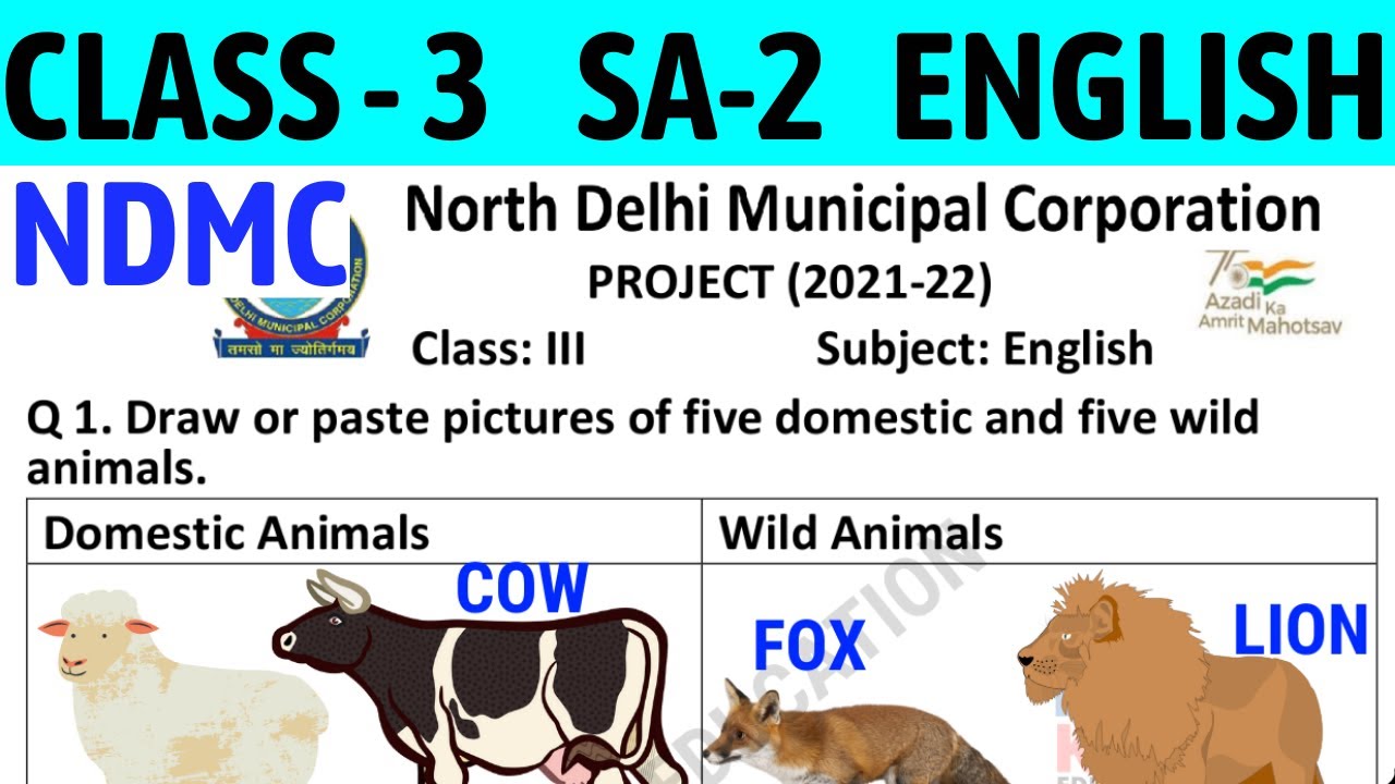 NDMC Class 3 English Project Work || Class 3 English SA2 Final Exam ...