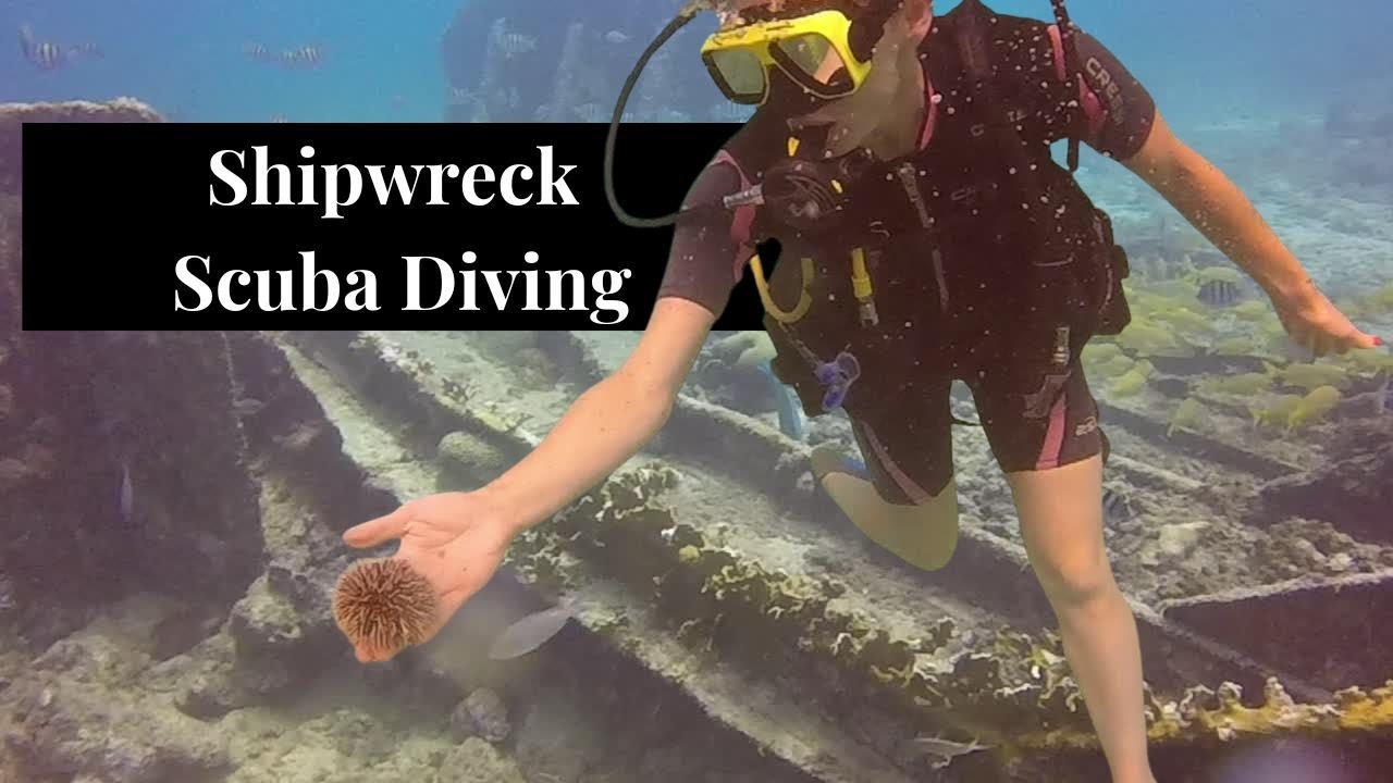 Non-PADI Scuba Diving in Aruba? Discover Scuba Excursion at 25 feet ...