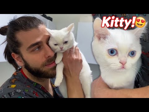 BU KEDİ ÇOK USLU! 😍 ( Minik Youtuber Bizi Ziyaret Etti! )