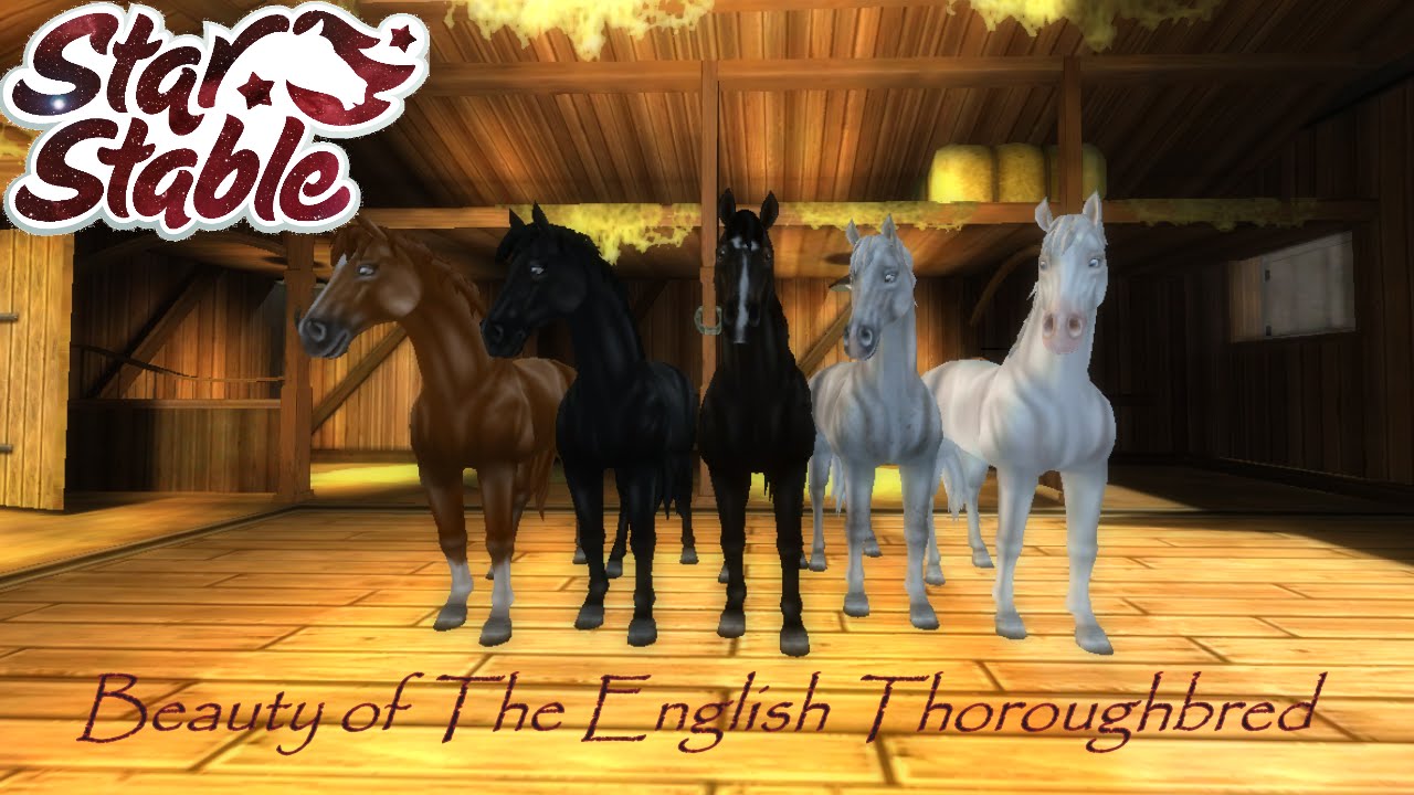 Star Stable Online ~ Beauty of The English Thoroughbreds - YouTube