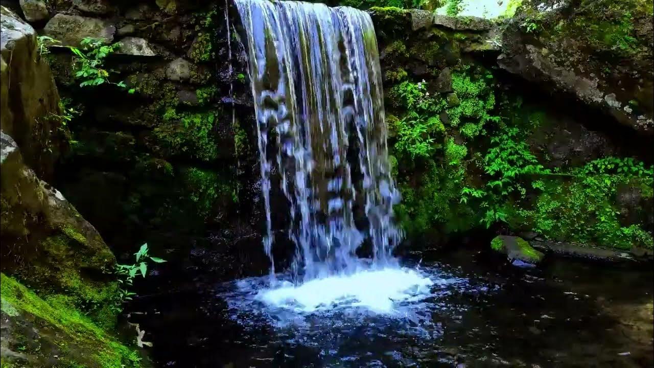 Waterfall sounds to make you go to the bathroom | 3D water drop sound ...