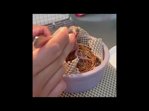 Baby birds with built in targets in their mouths - YouTube