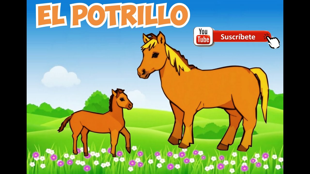 El Cuento del Hermoso Potrillo - YouTube