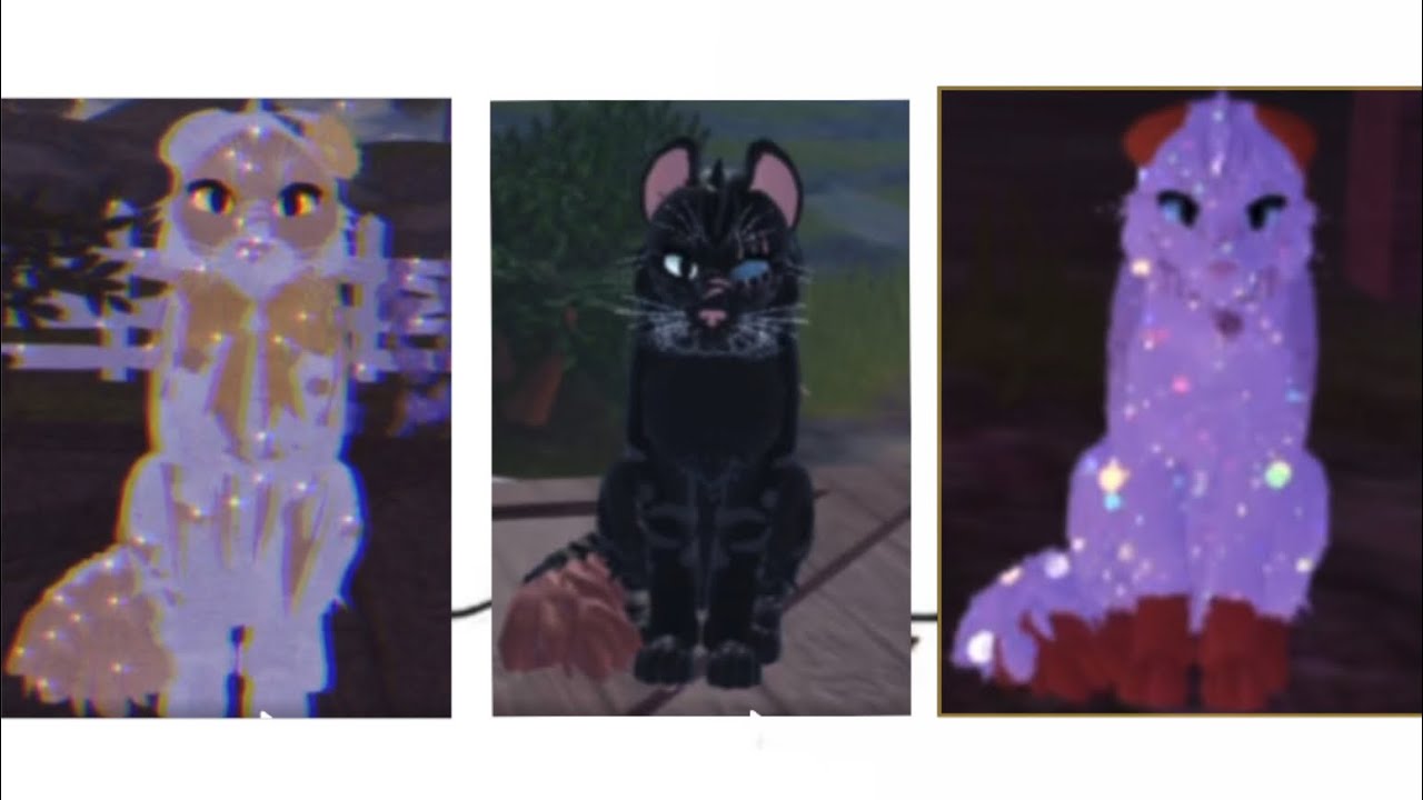 Warrior Cats morph ideas! (feel free to pause) - YouTube