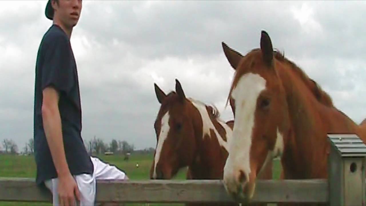 The Plant Cell Rap - YouTube