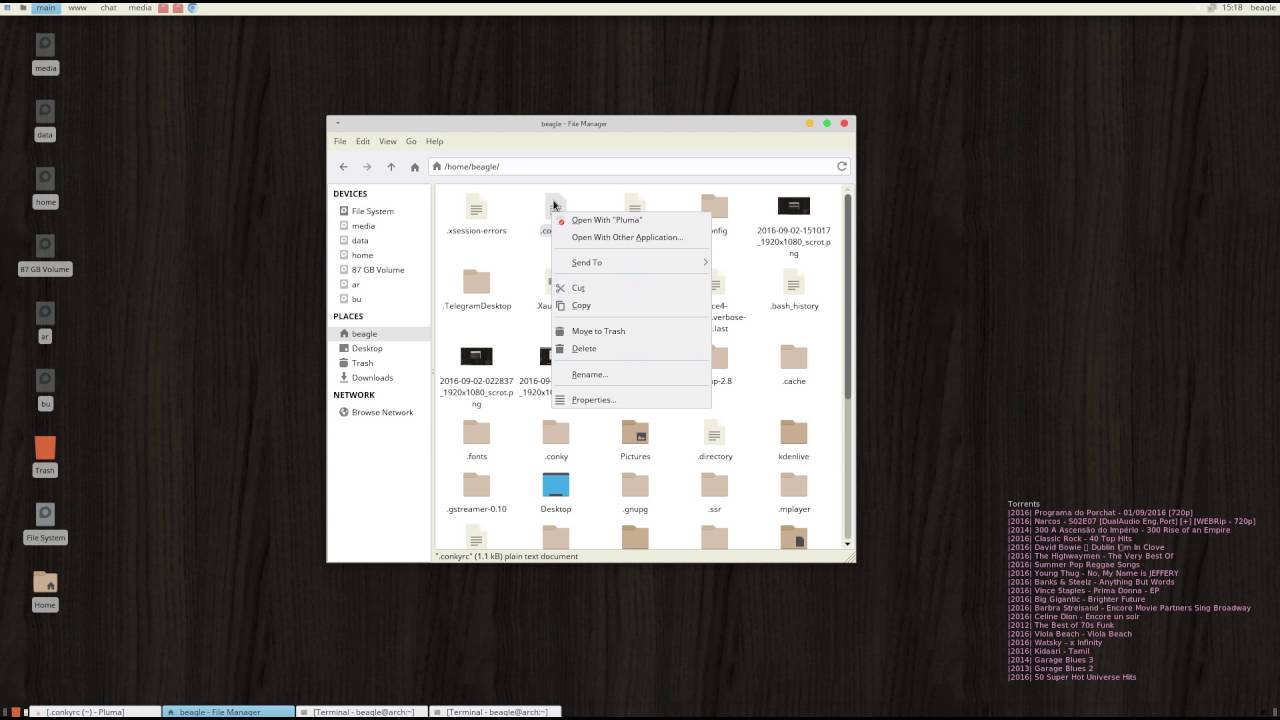 Conky: localização do arquivo .conkyrc de configuração (linux) - YouTube