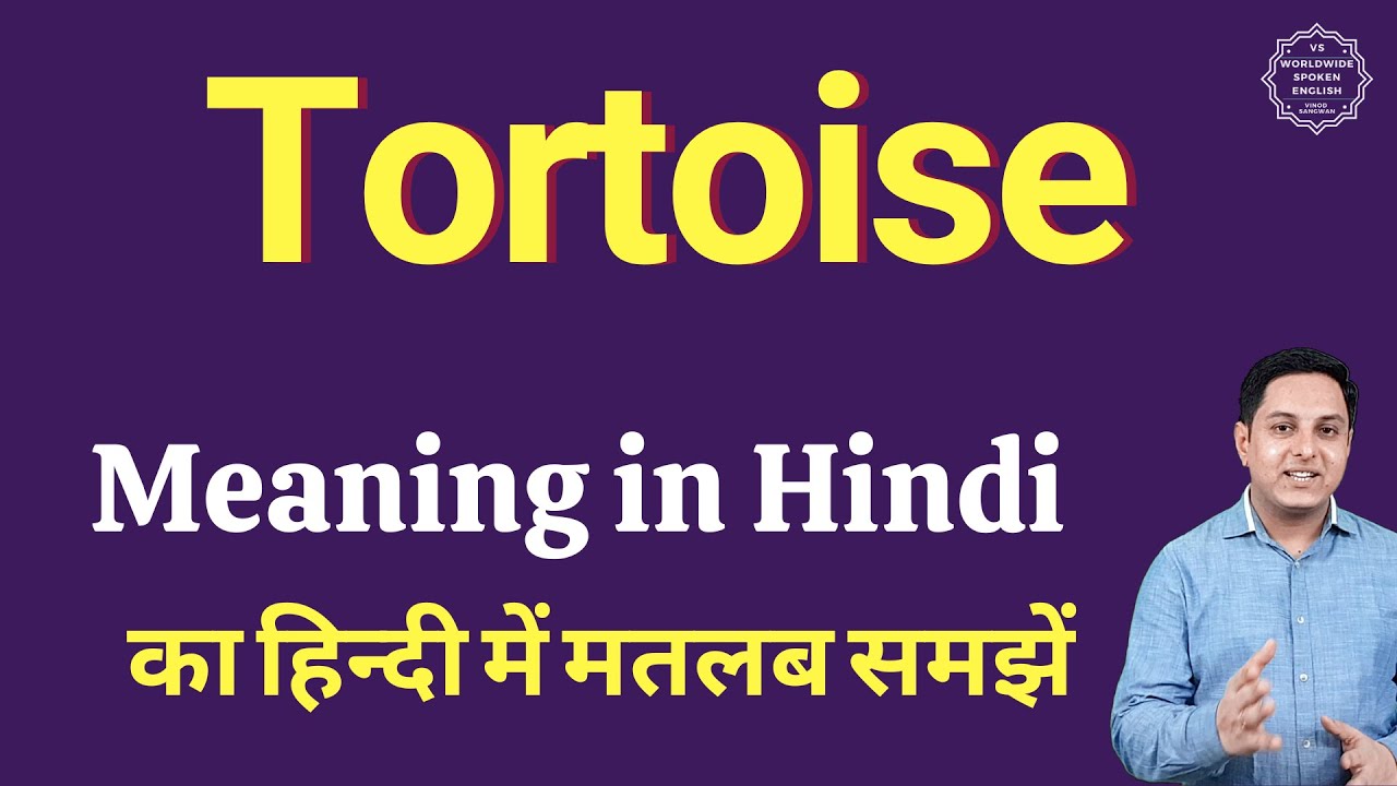 Tortoise Meaning In Hindi Tortoise Ka Matlab Kya Hota Hai YouTube tortoise-meaning-in-hindi-tortoise-ka-matlab-kya-hota-hai-youtube