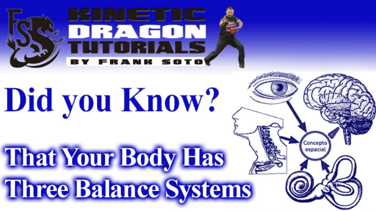 ¿Did you Know That our Body Has Three Balance Systems? - YouTube