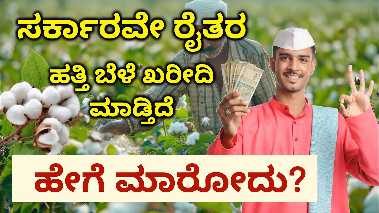 Cotton Price Today In Karnataka | MSP For Cotton 2025-26 - YouTube