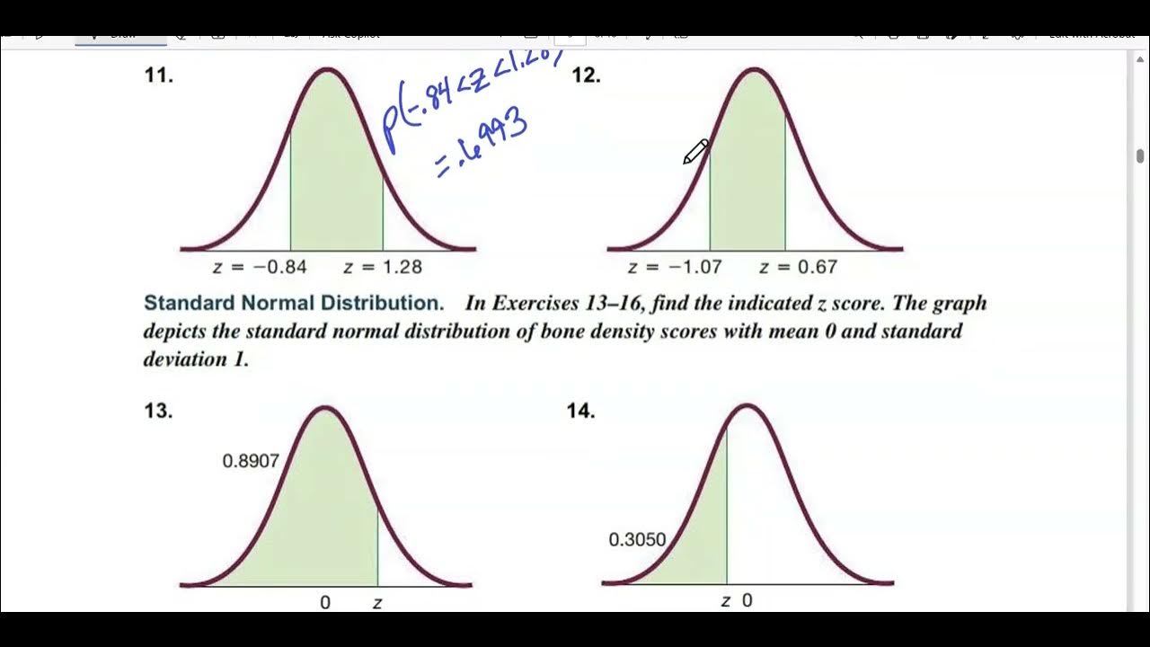 The Standard Normal Distribution - YouTube