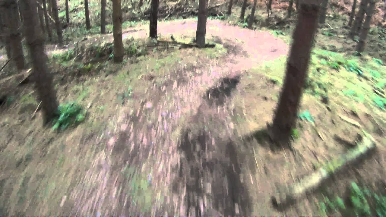 Cannock Chase 11/01/2015 Birches Valley first section - YouTube