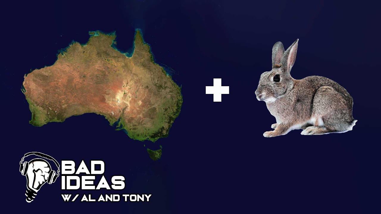 Rabbits in Australia - Bad Ideas with Al and Tony - YouTube