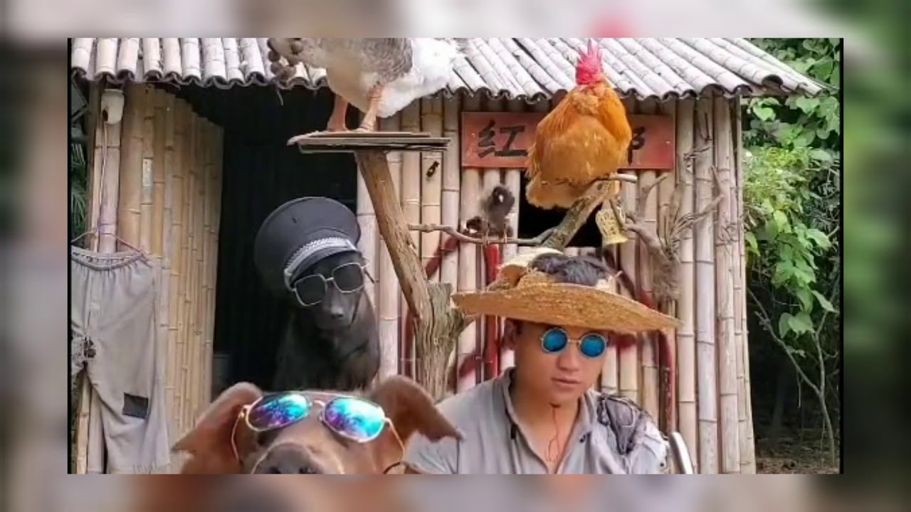 Funny chefs | chefs comedy | chinese chefs - chinese videos | EP1 - YouTube