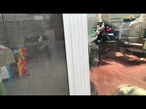 Cleaning fly poop off window frames with ENJO Outdoor Fibres - YouTube