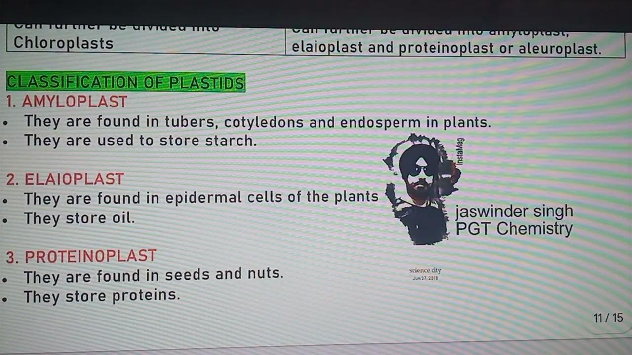 Lecture -16 (9th class) chapter-Cell ,Topic-Plastids - difference b/n cheomoplast and leucoplast ...