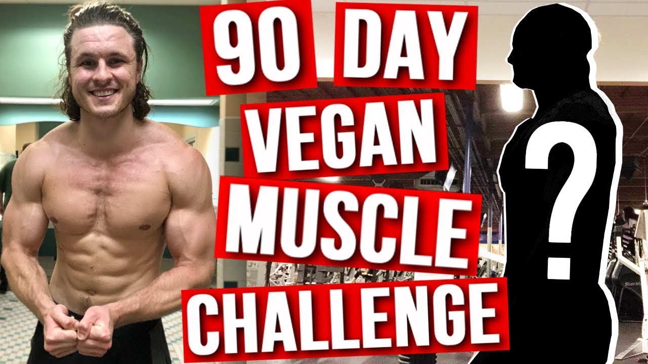 Setting Up Diet, Gym Routine & Pre Workout | EPISODE 1 (VEGAN MUSCLE ...