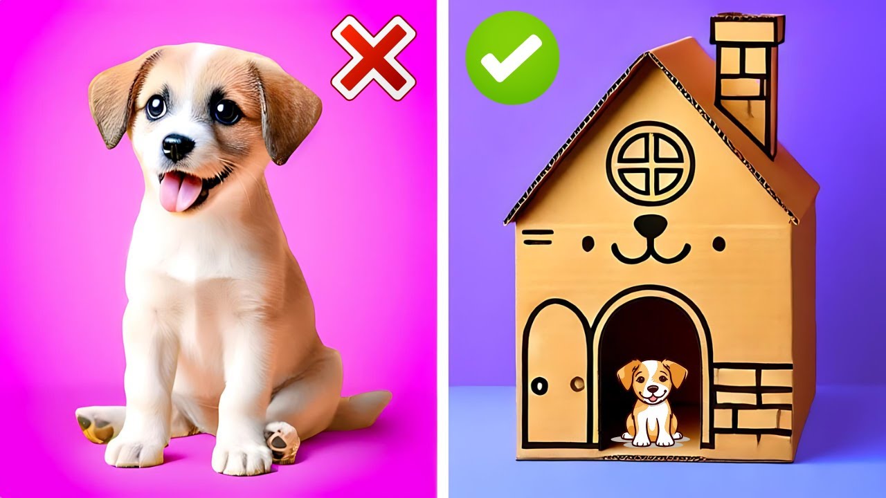 Clever Cardboard DIYs for You and Your Pet 🐾📦 - YouTube
