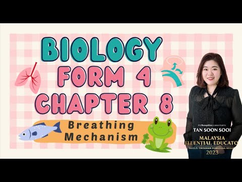 【中文讲解】KSSM Form 4 Biology Chapter 8 Breathing Mechanism - YouTube