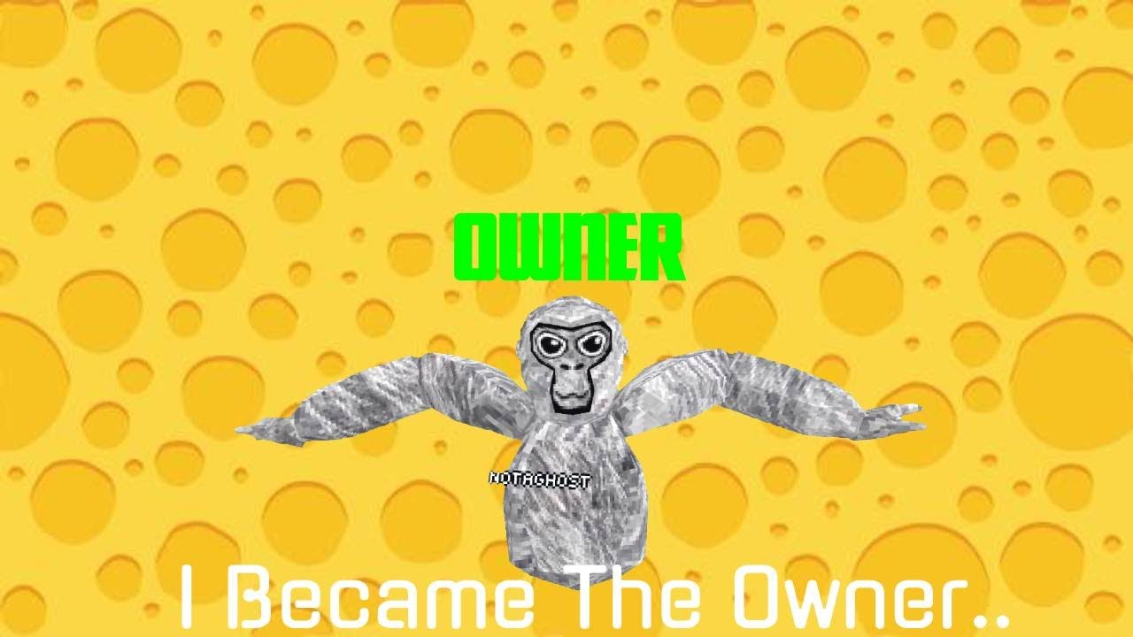 I became a moderator in gorilla tag.. - YouTube