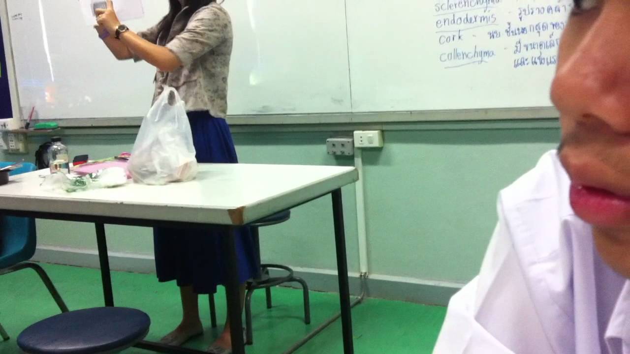 [YEP#Dozen] Biology Frog Operation 2 - YouTube