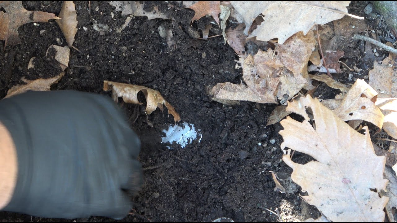Winter Is Over It's Time To Dig For Silver & Quick Talk About How ...