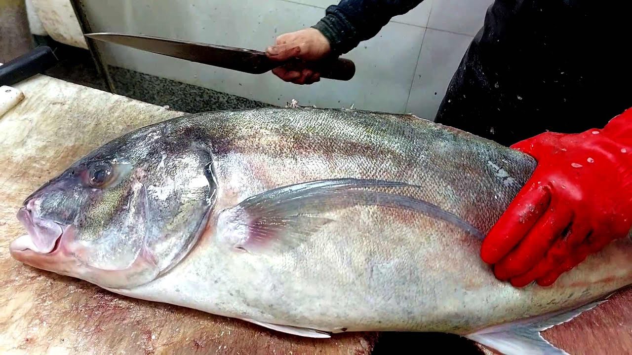 Big Fish Cutting Easy Technique ( Quick fillet ) - YouTube