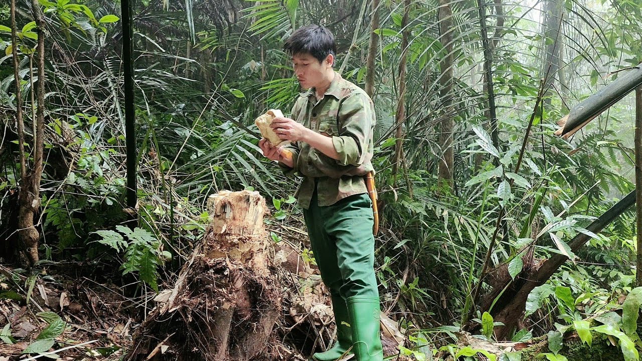 Survival in the jungle, survival alone, survival skills, survival ...