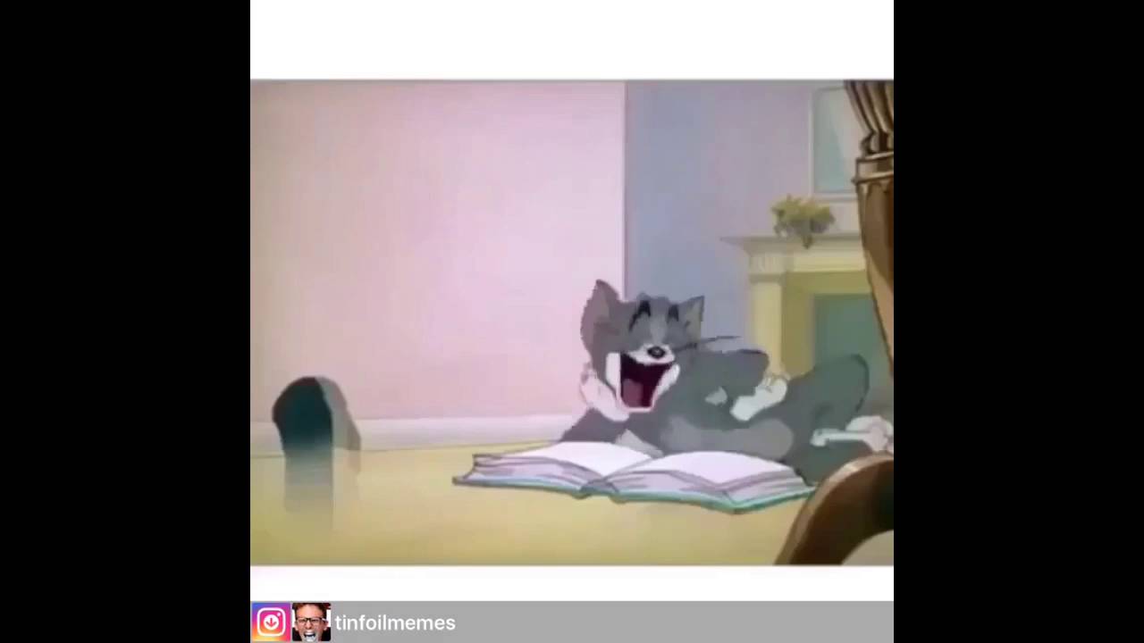 Tom laughs at gender book - YouTube