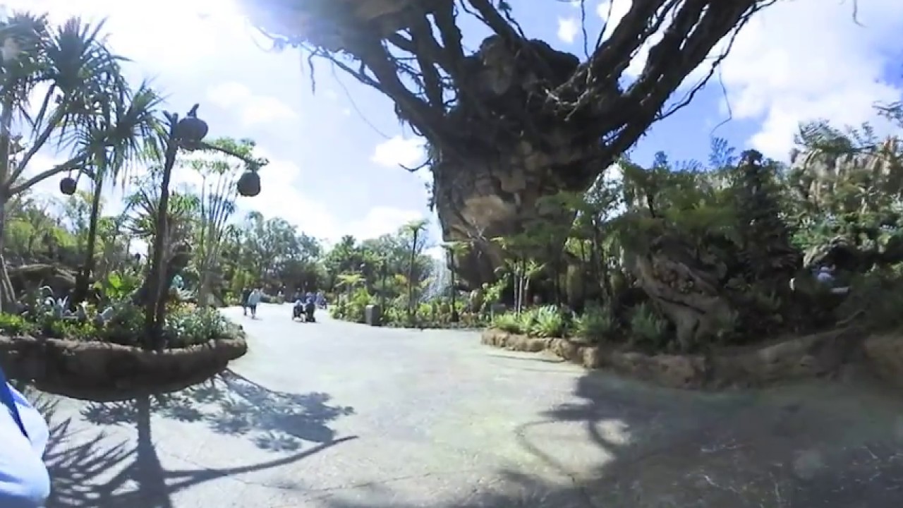 Nikon KeyMission 360 video of Pandora - The World of Avatar Walkthrough ...