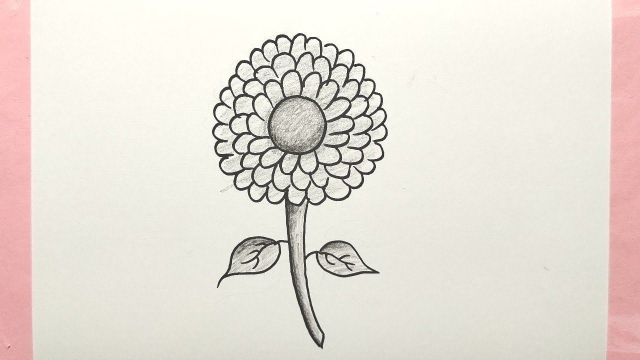 Cara Menggambar Bunga Matahari - How To Draw A Sunflower - YouTube