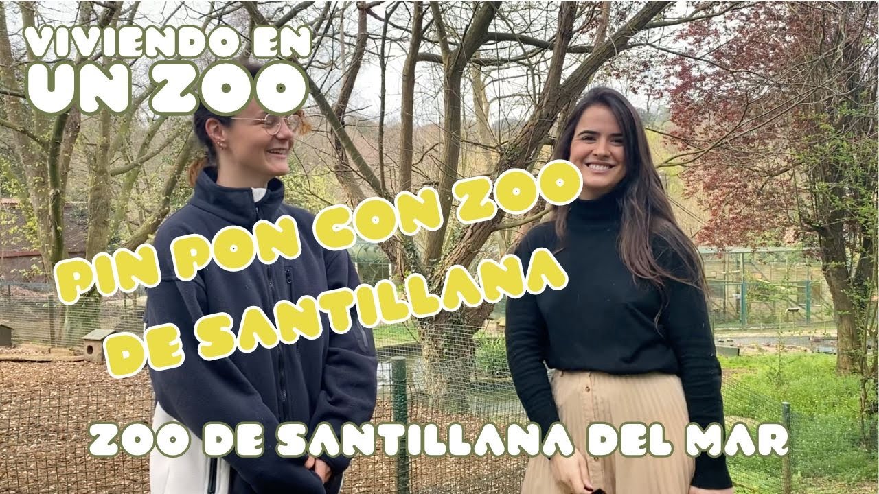 A Pie de Zoo: Pin Pon con...Día de la Diversión en el Trabajo | Zoo de ...